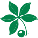 SENR students make Ohio State more bike friendly | Going Green with ODEE